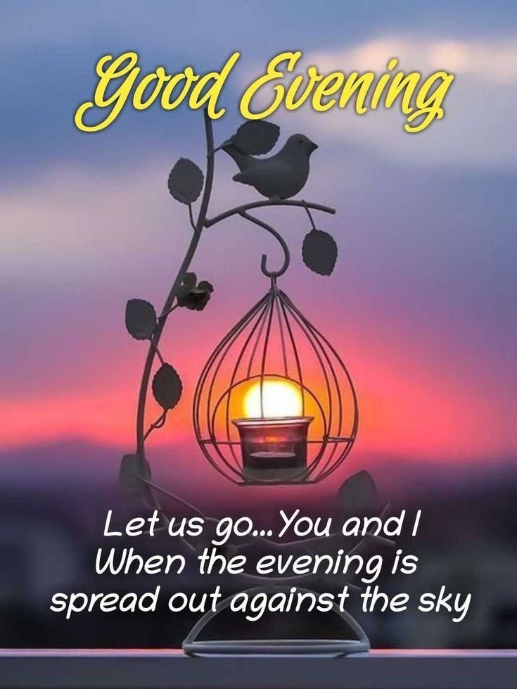 50 Inspirational Good Evening Quotes to End Your Day on a Positive Note